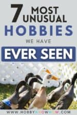 Unusual Hobbies | 7 Most Unusual Hobbies We Have Ever Seen - Hobby Knowhow