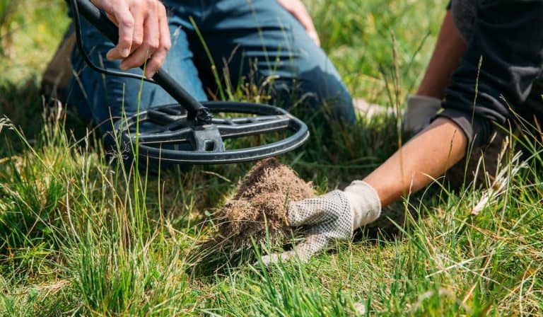 Beginner's Guide To Metal Detecting As A Hobby - Hobby Knowhow