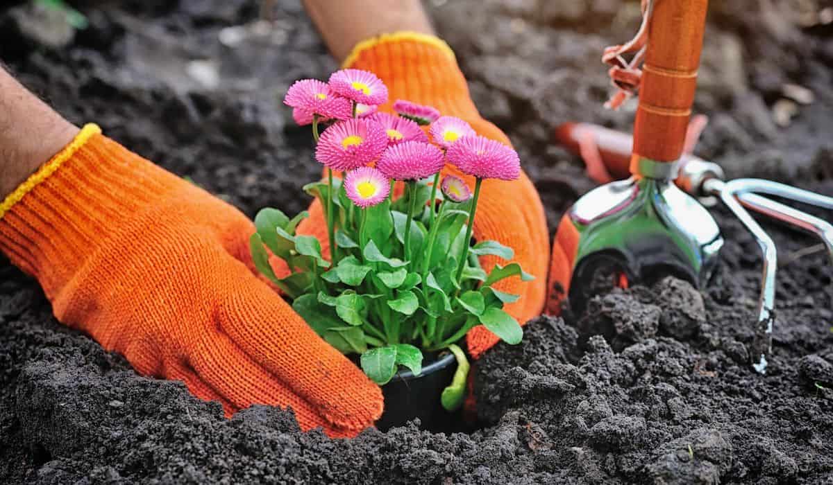 11 Outdoor Hobbies For Nature Lovers - Hobby Knowhow