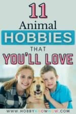 11 Animal Hobbies You’ll Love - Hobby Knowhow