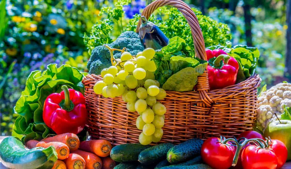 A Guide To Gardening For The Beginner - Hobby Knowhow
