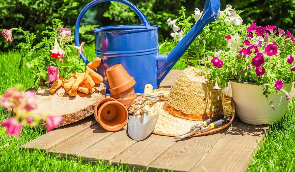 A Guide To Gardening For The Beginner - Hobby Knowhow