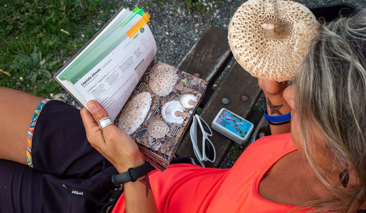 Foraging Classes USA (Online And In-Person Class Details) - Hobby Knowhow