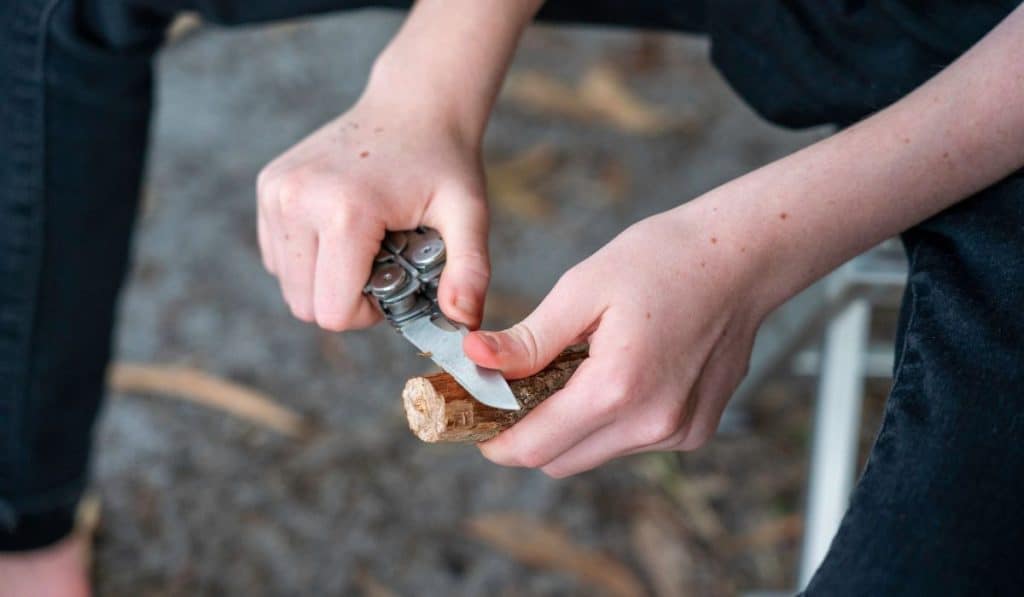 Complete Guide To Whittling | Wood Carving - Hobby Knowhow