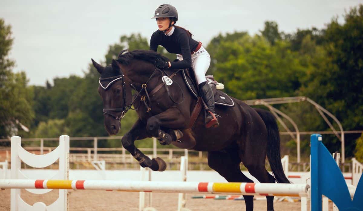 11 Animal Hobbies You’ll Love - Hobby Knowhow