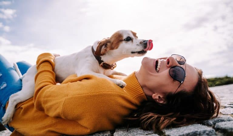 11 Animal Hobbies You’ll Love - Hobby Knowhow