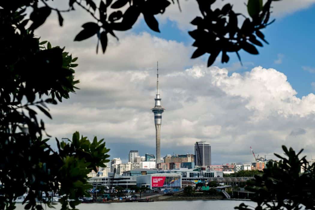 Highest Bungee Jump In New Zealand - Hobby Knowhow